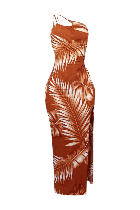 Diana Print One Shoulder Maxi Dress – EDGE